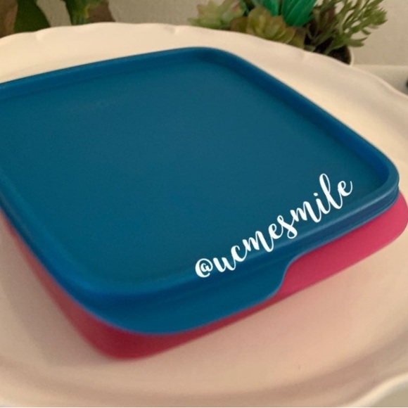 Tupperware | Kitchen | Tupperware Lunch Square Divided Packette | Poshmark